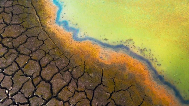 Chemical Pollution Threatens Earth: What Should We Do - Optic Flux