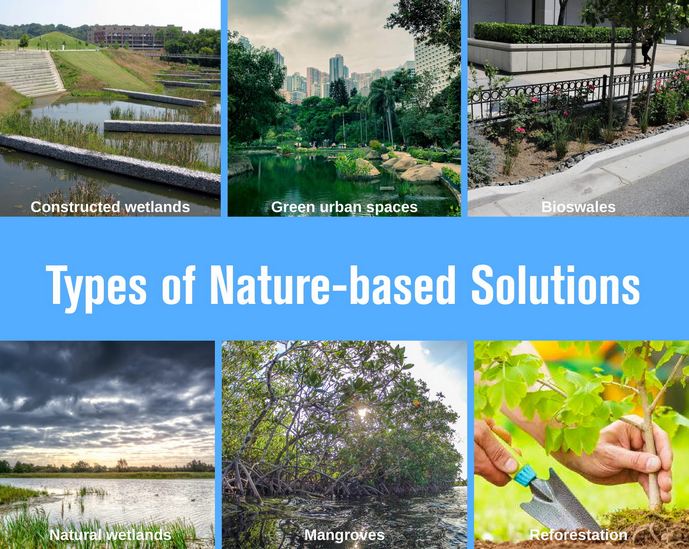 Everything You Should Know About Nature-based Solutions to Climate ...