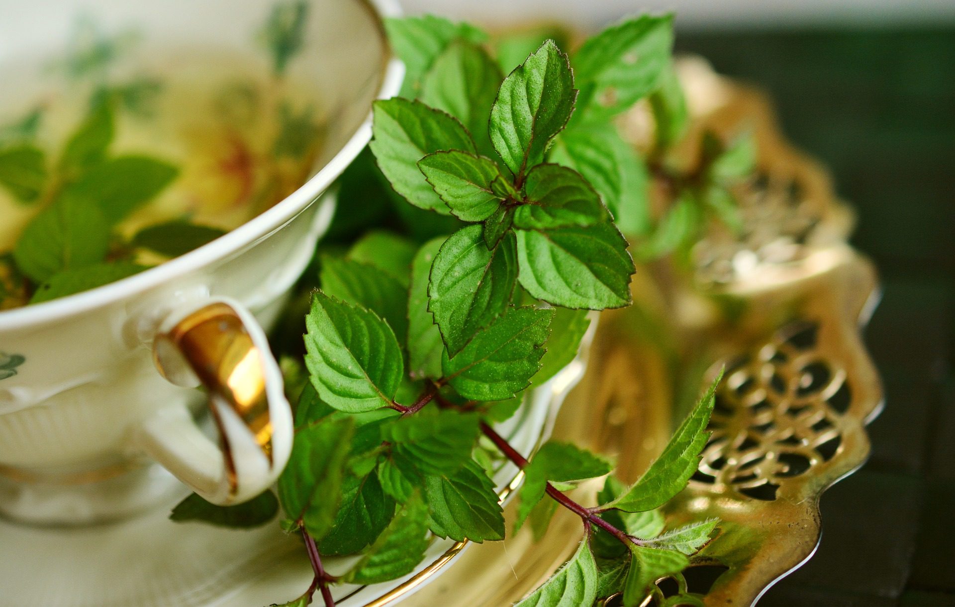 Peppermint and Spearmint Tea – Differences, Health Benefits, Taste and ...